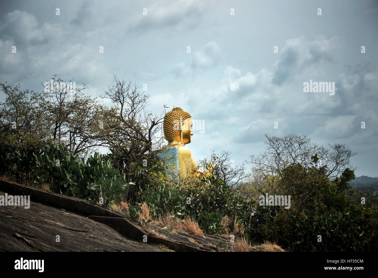 The Golden Temple of Dambulla Stock Photo - Alamy