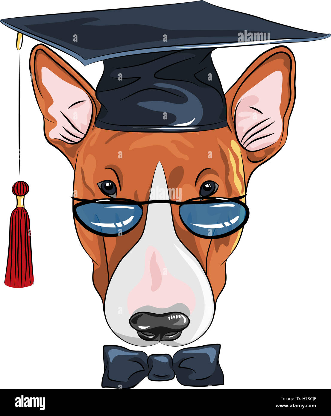 Most intelligent animals hi-res stock photography and images - Alamy