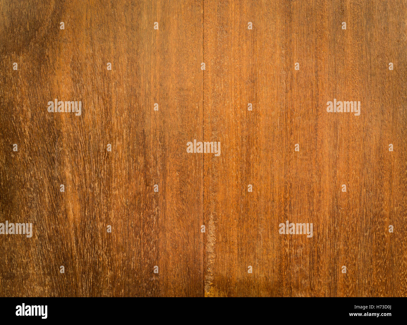 Dark brown trees hi-res stock photography and images - Alamy