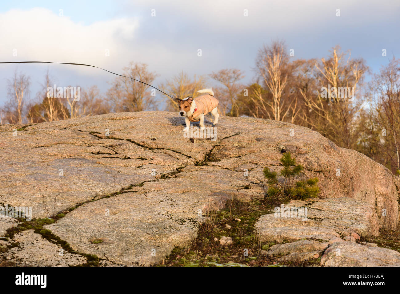 Windy walk hi-res stock photography and images - Alamy
