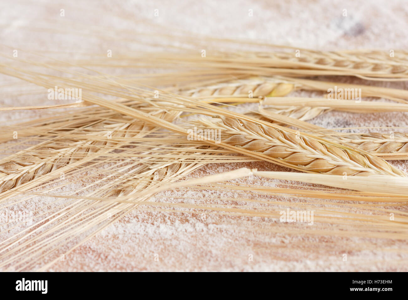 Wheat seeds hi-res stock photography and images - Alamy