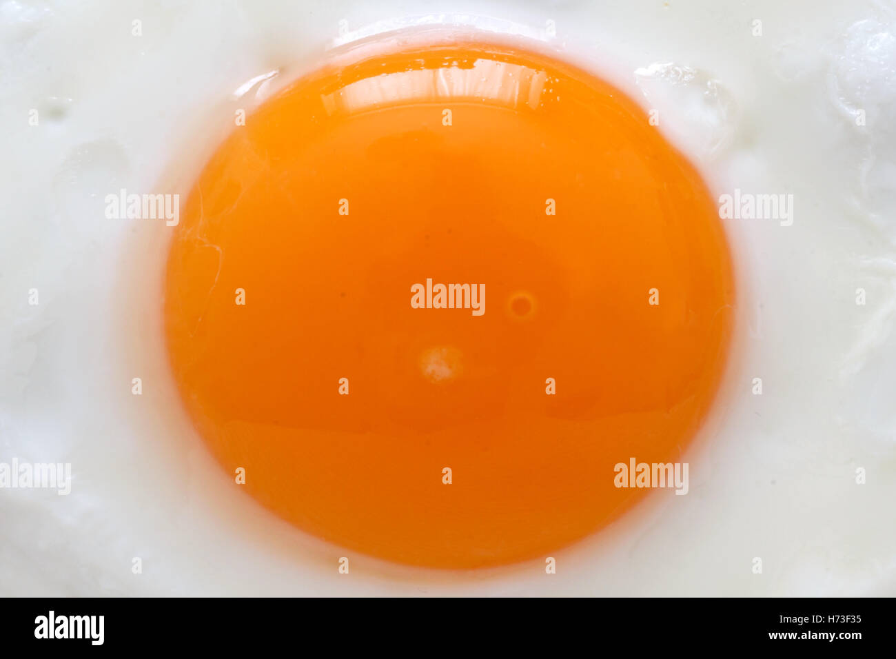 Close up of a cooked egg yolk Stock Photo - Alamy