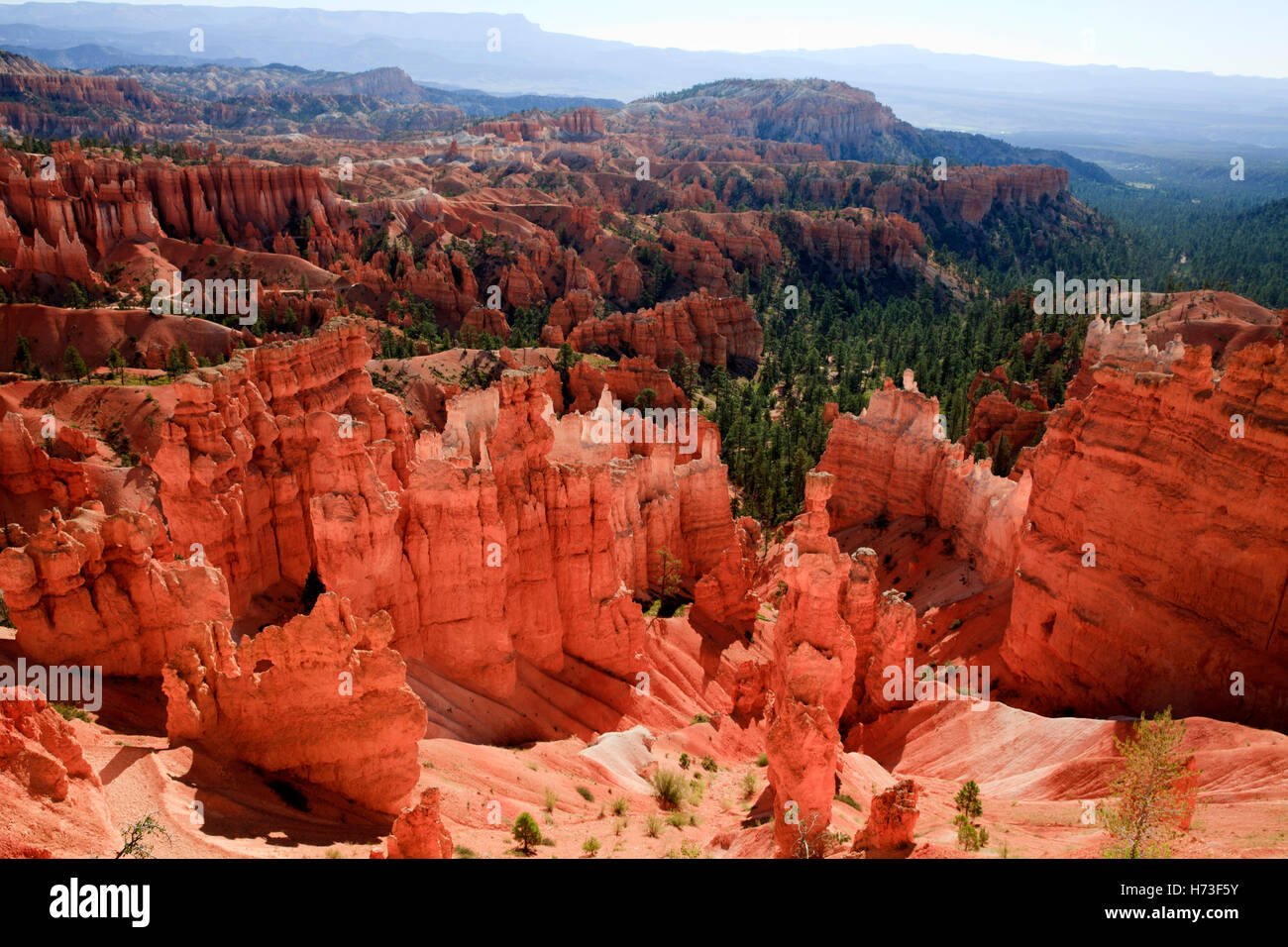Hoodoo rock formations in Bryce Canyon National Park, Utah, USA Stock ...