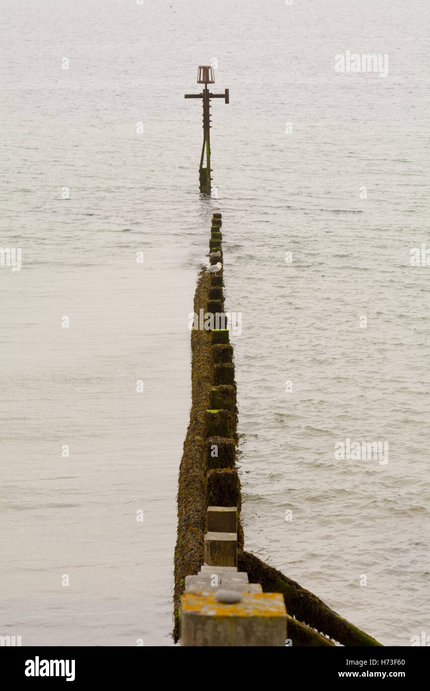 Groynes protecting the beach from the sea from erosion and storm damage ...