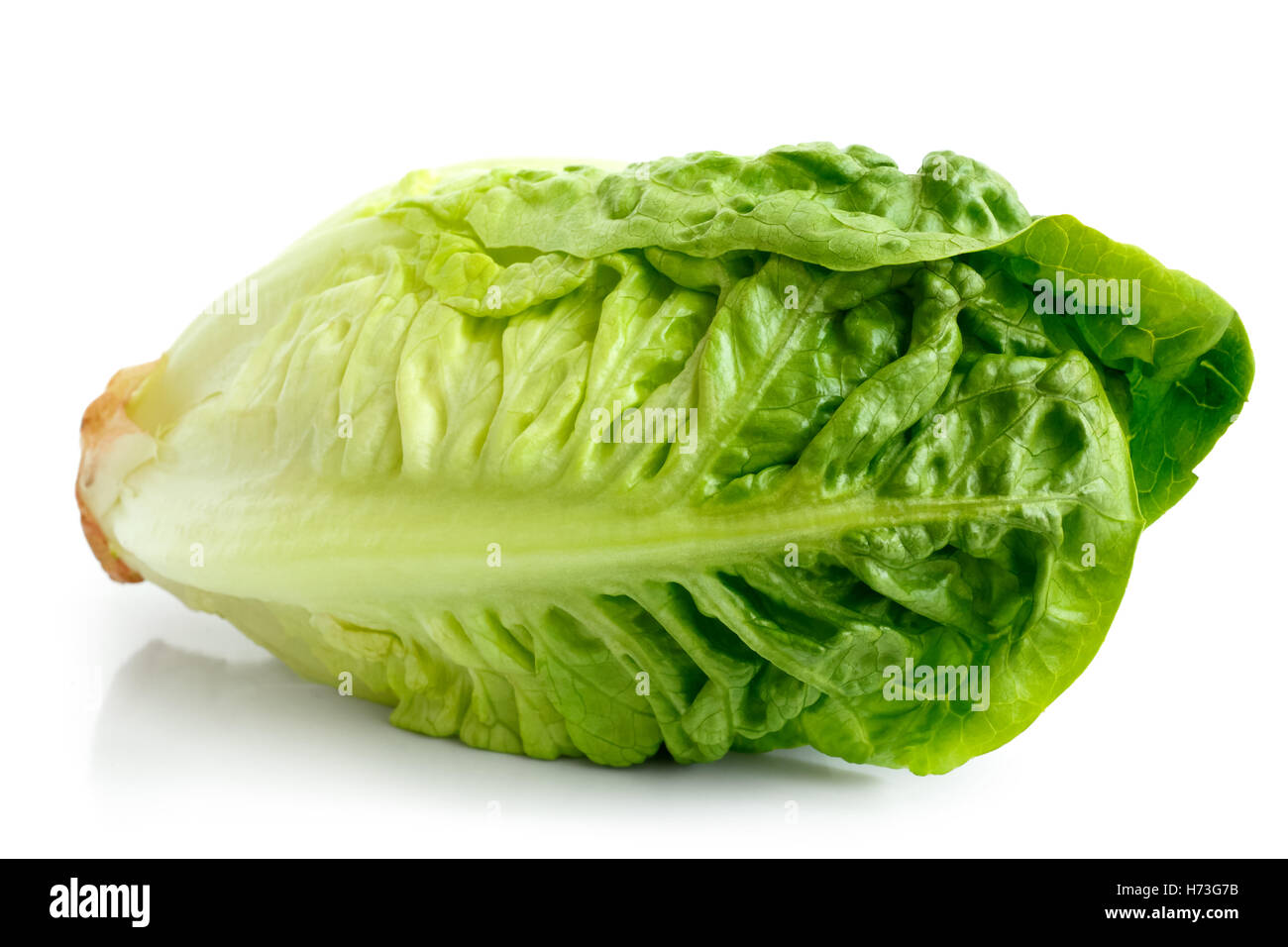 Single gem lettuce isolated on white background Stock Photo - Alamy