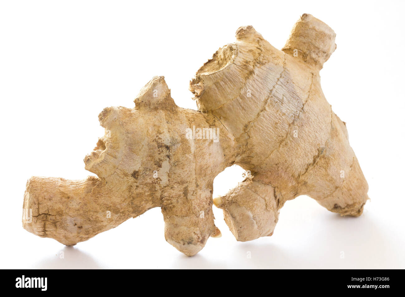Ginger plant root hi-res stock photography and images - Alamy