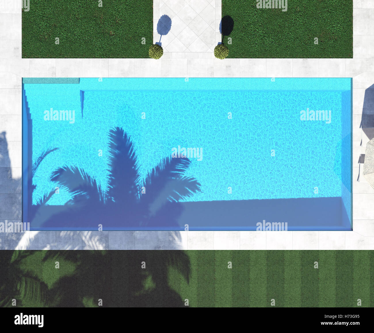 pool with shade from the palm trees. top view. 3d rendering Stock Photo ...