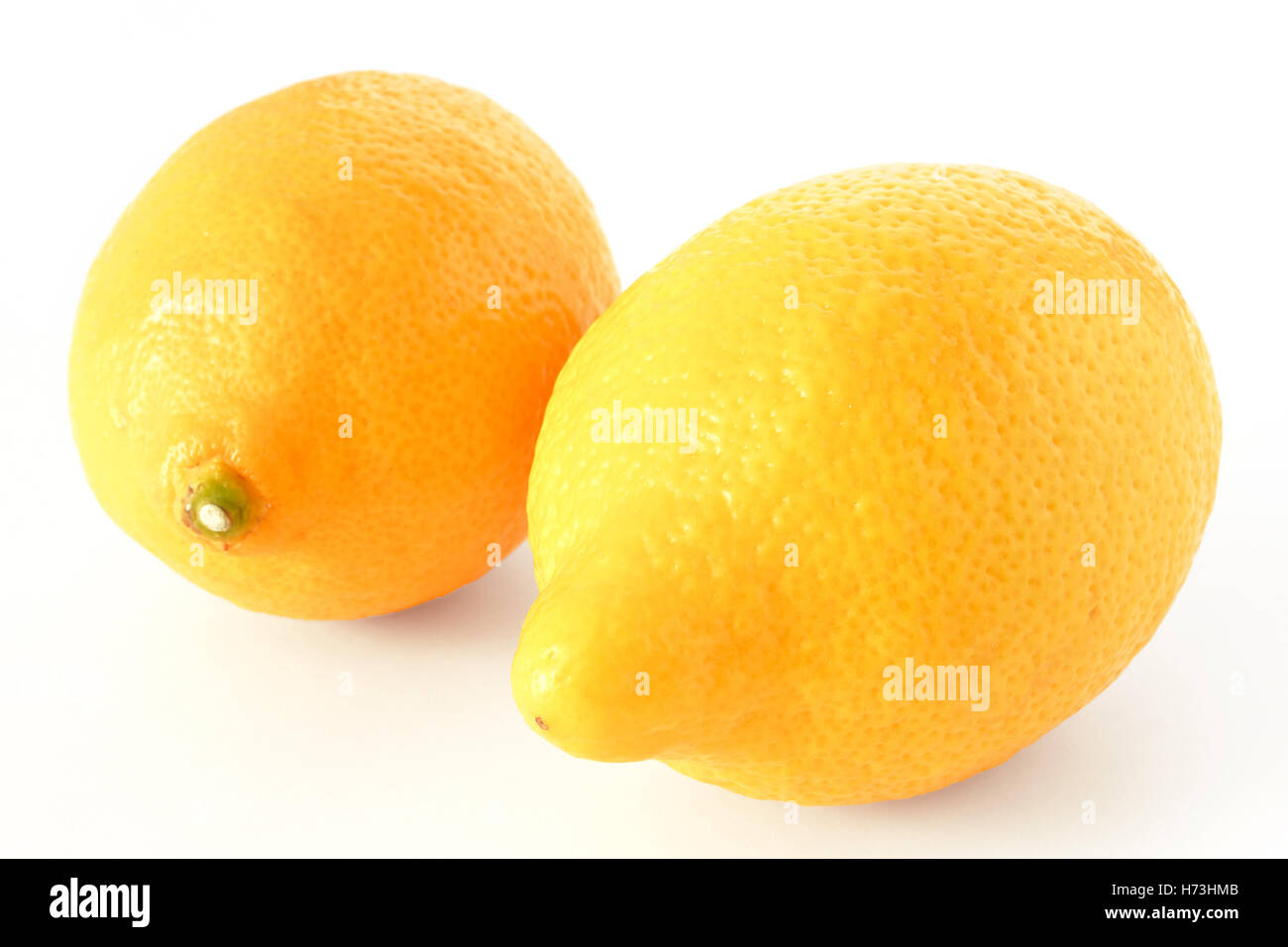 Two friendly lemons on white Stock Photo - Alamy