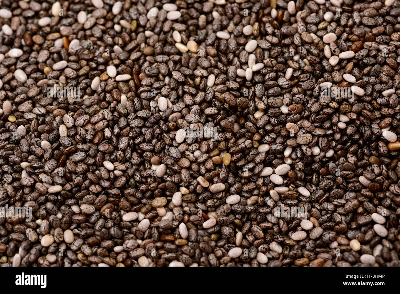 closeup of a pile of chia seeds Stock Photo - Alamy