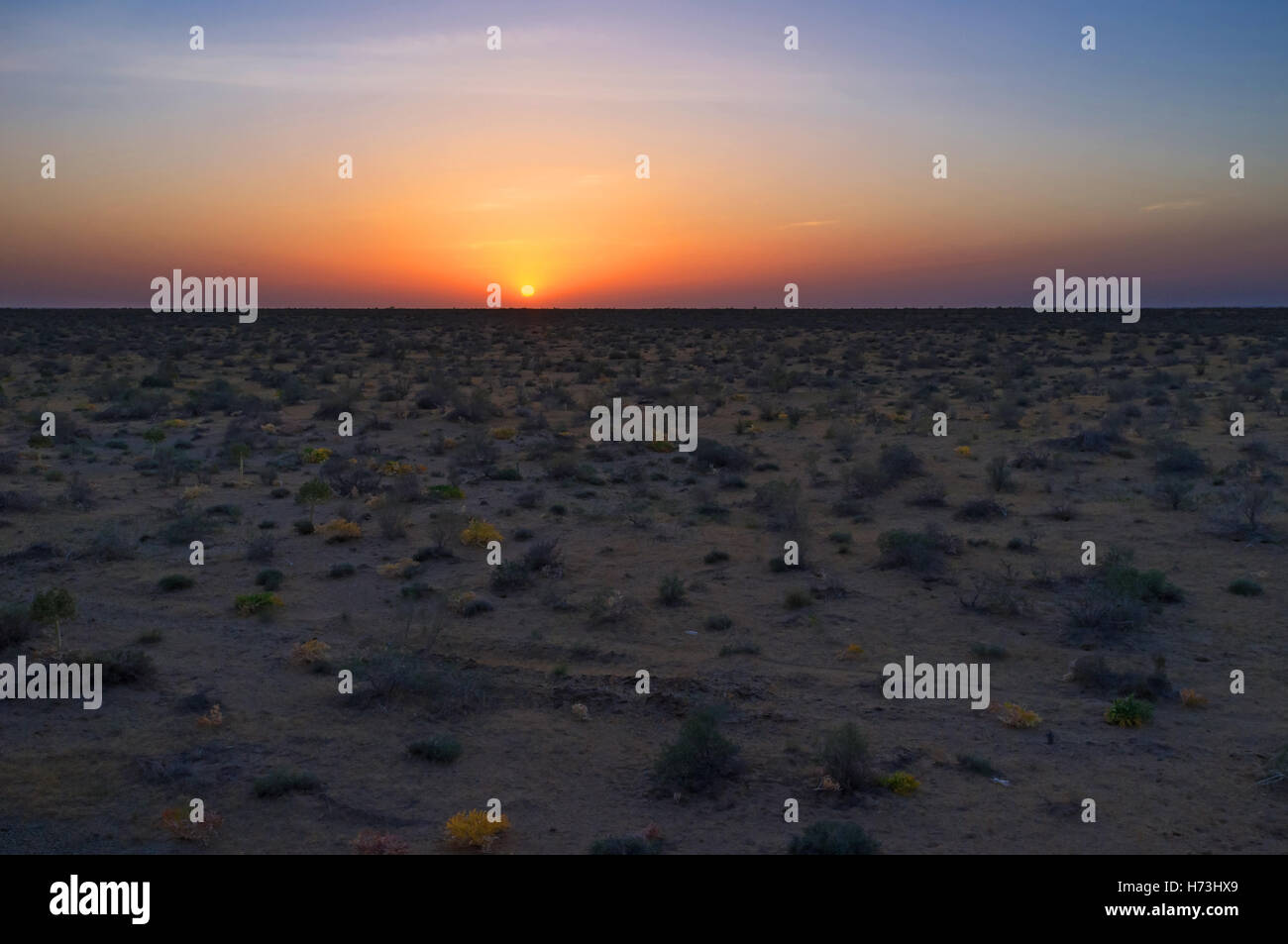 The karakum desert vegetation hi-res stock photography and images - Alamy