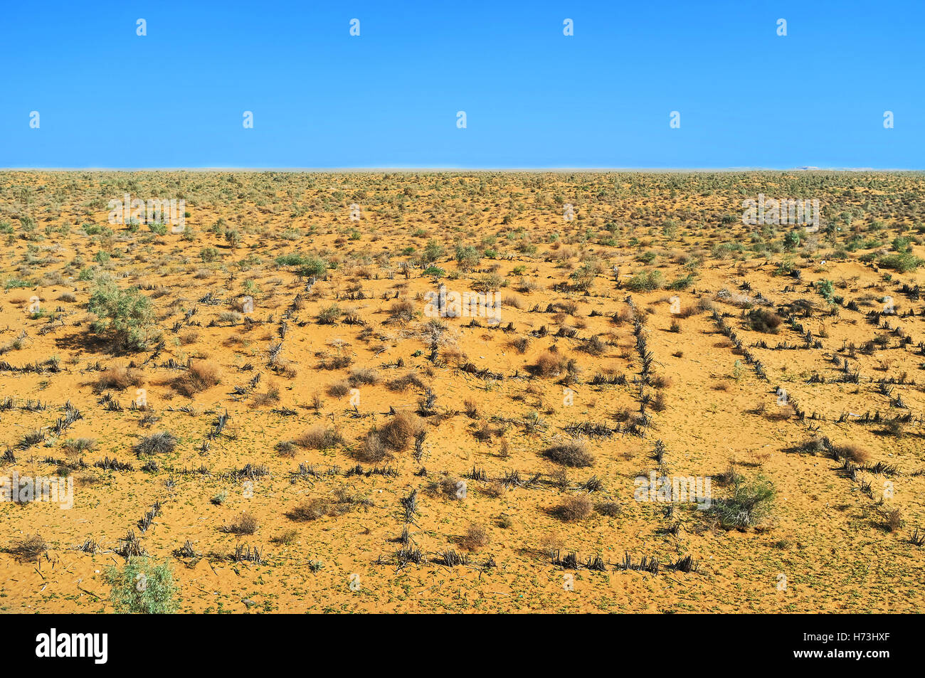 The landscape of Kyzyl Kum desert with hot temperature and poor ...