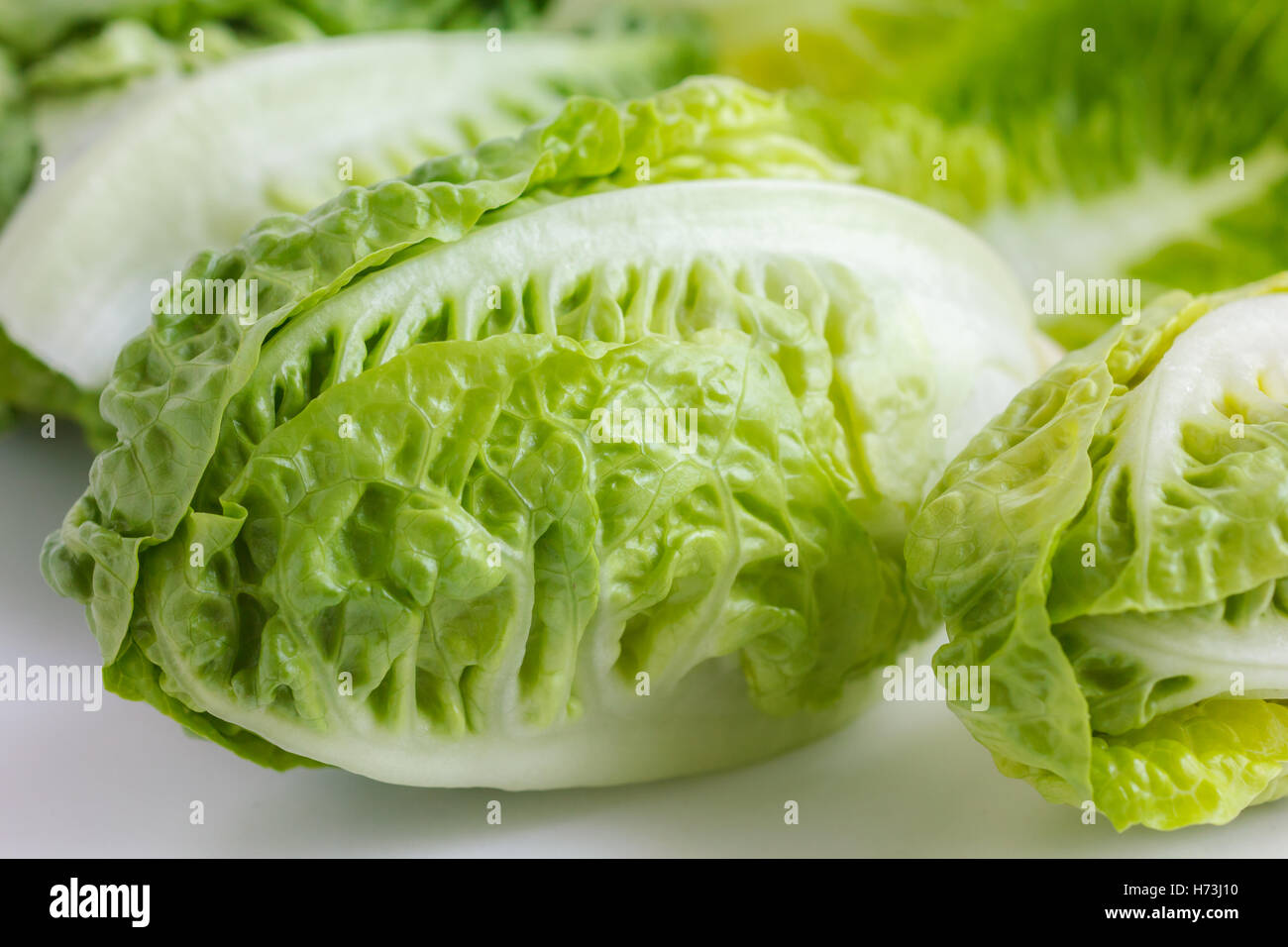 Summer crisp lettuce hi-res stock photography and images - Alamy