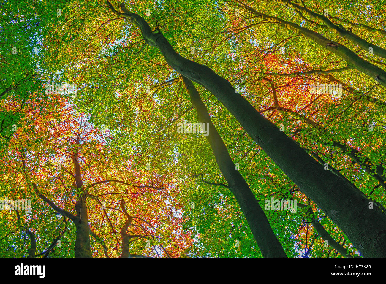 Misk hills hi-res stock photography and images - Alamy