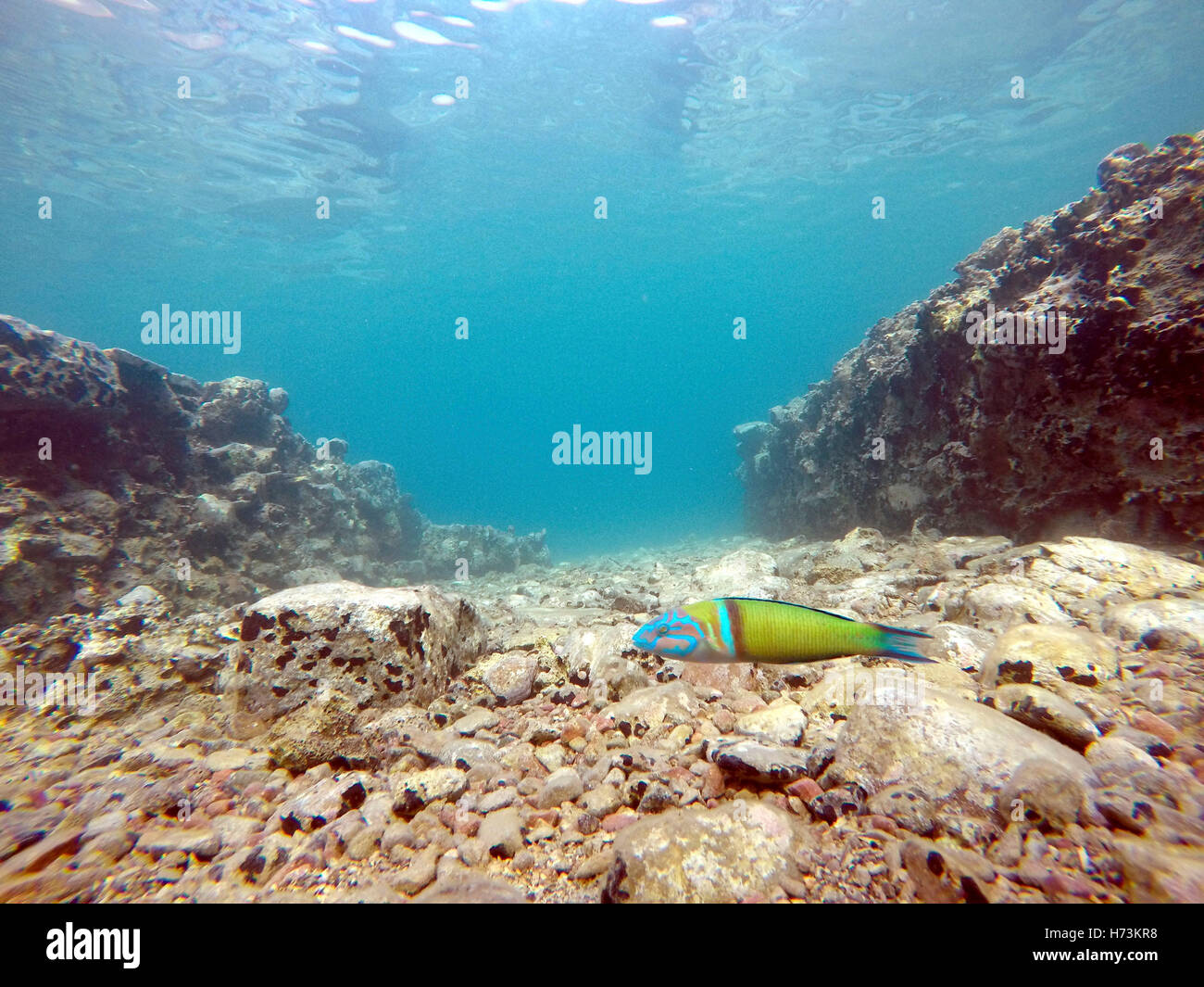 New epidaurus hi-res stock photography and images - Alamy