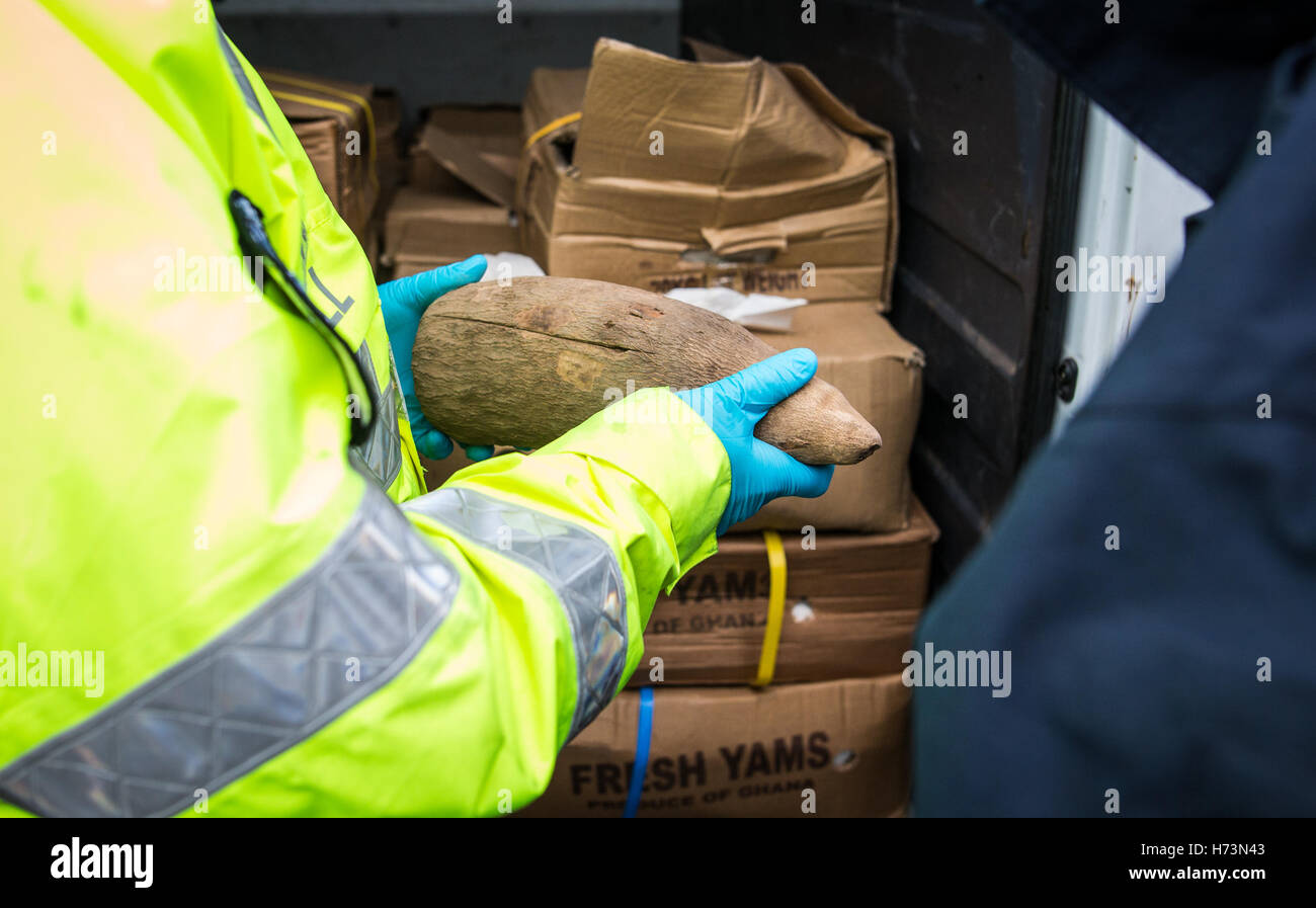 Entry control officer hi-res stock photography and images - Alamy