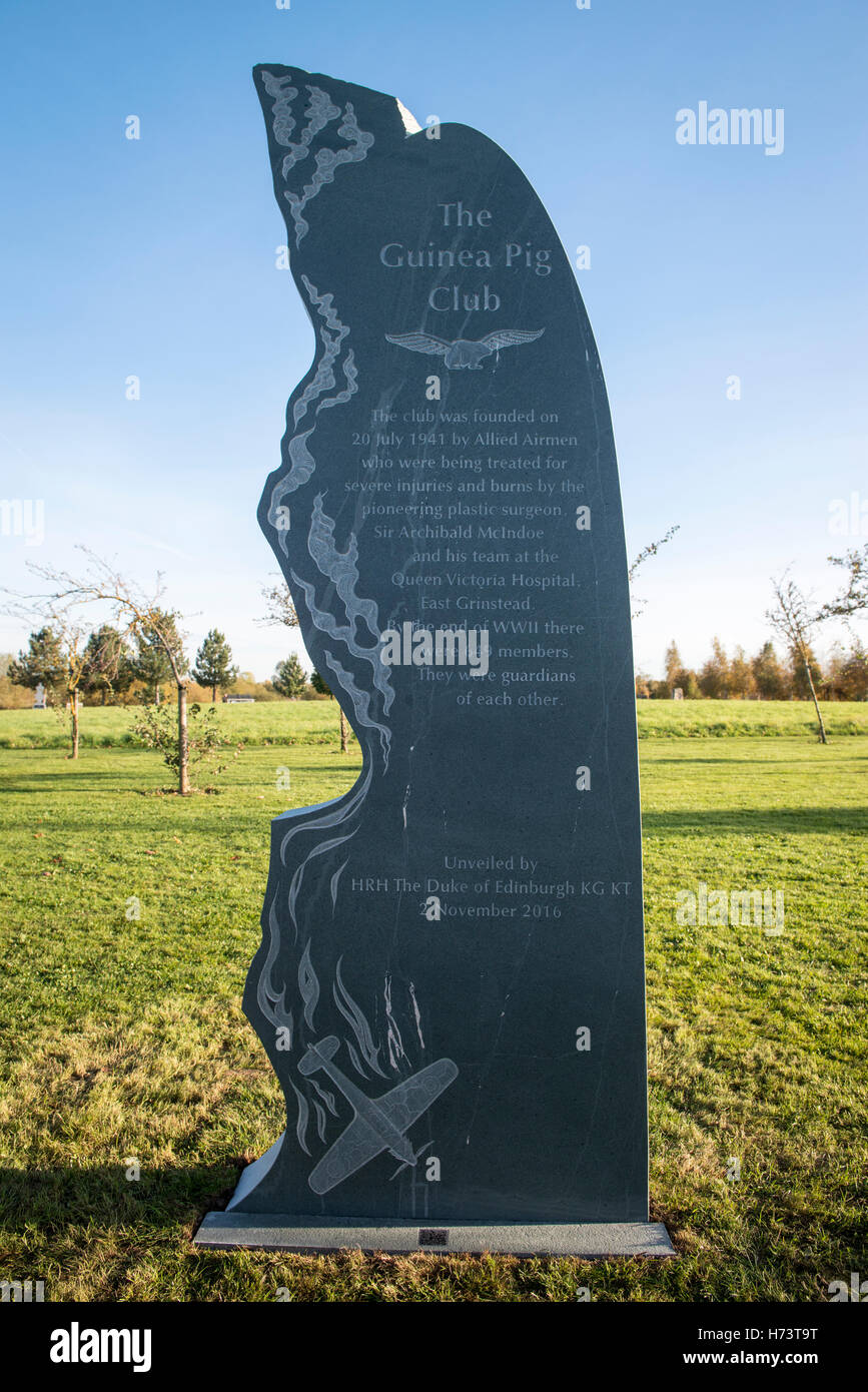 Guinea pig club ww2 hi-res stock photography and images - Alamy