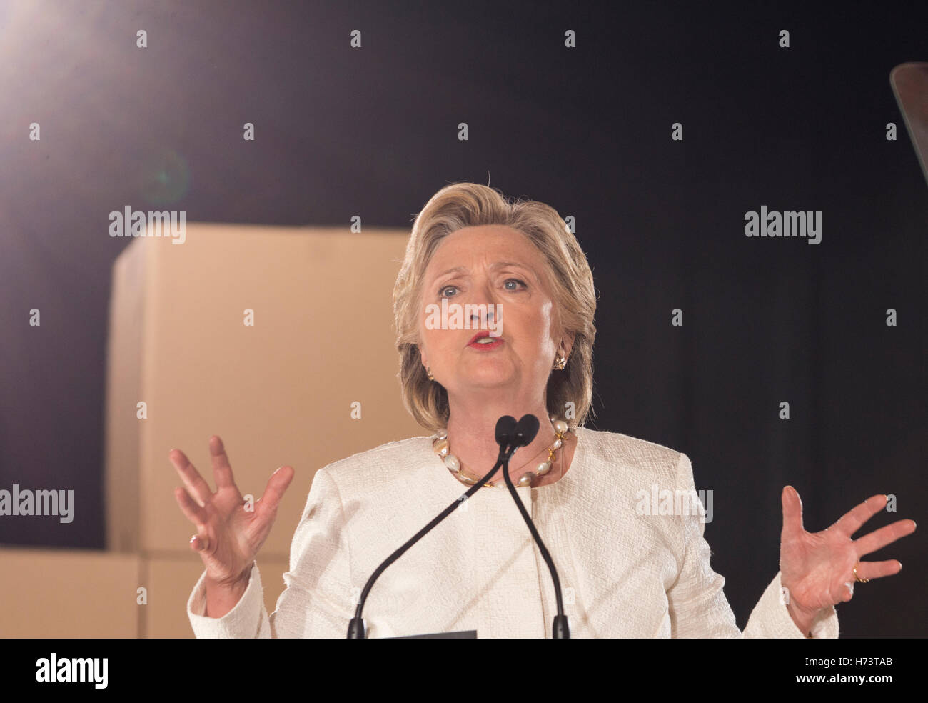 Secretary of State, US Presidential Candidate, Former First Lady ...