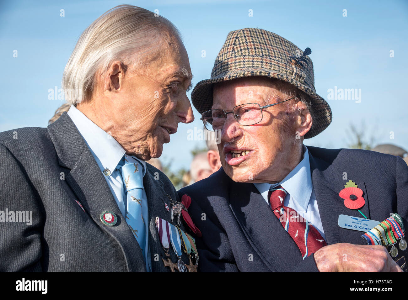 Guinea pig club ww2 hi-res stock photography and images - Alamy
