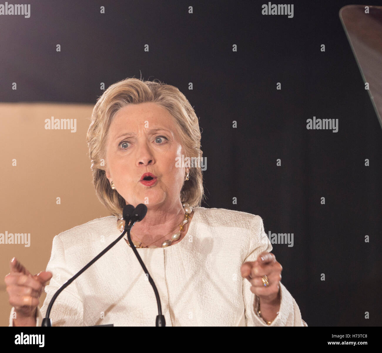 Secretary of State, US Presidential Candidate, Former First Lady ...