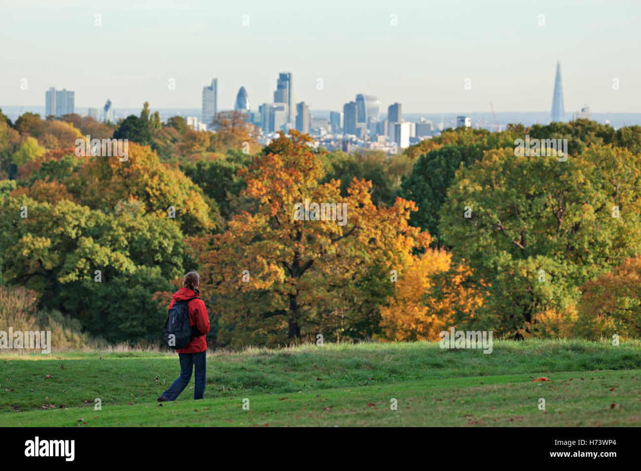 Hampstead Heath, London, UK. 2nd November 2016. UK Weather: Perfect ...