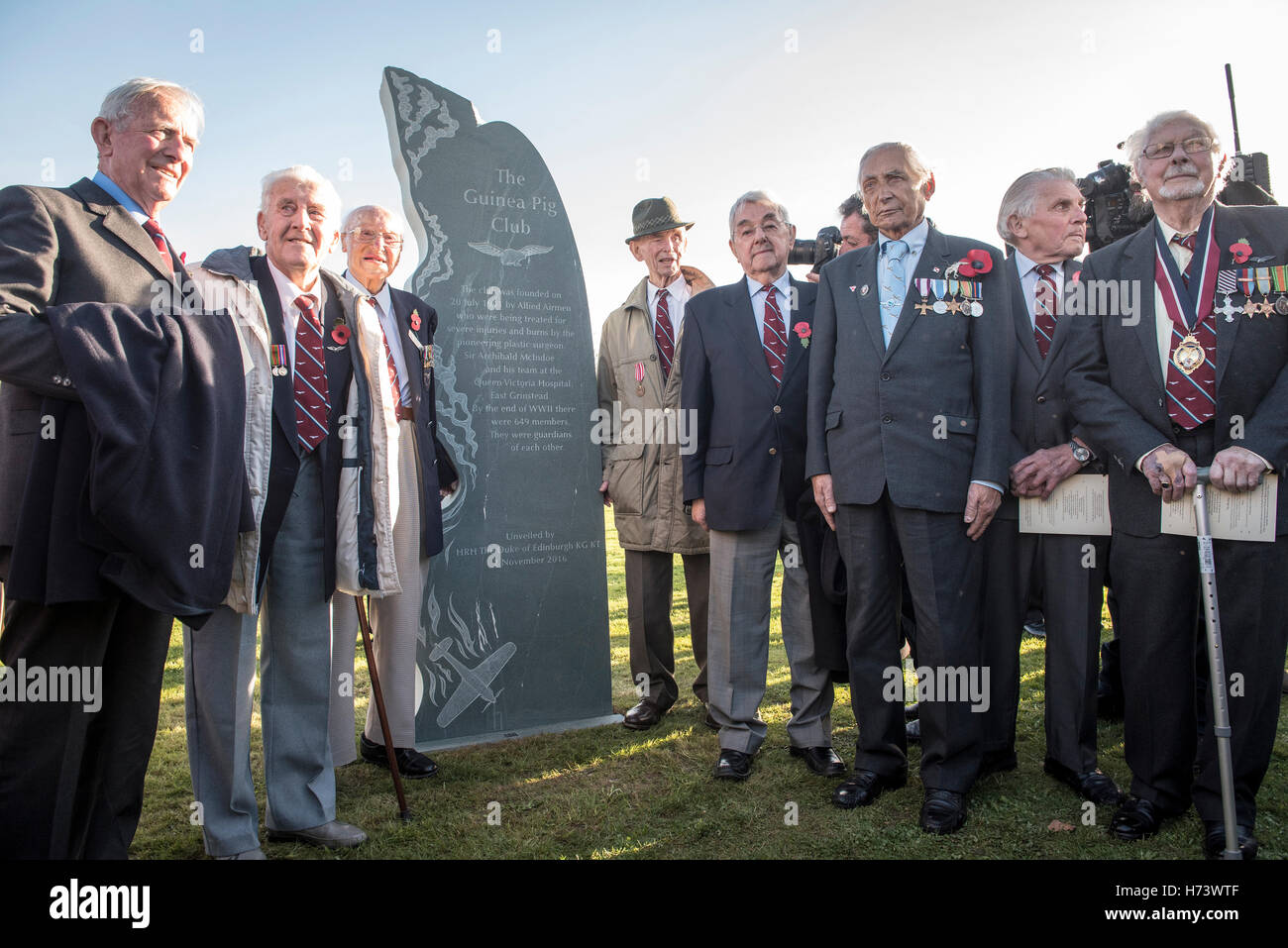 Guinea pig club ww2 hi-res stock photography and images - Alamy
