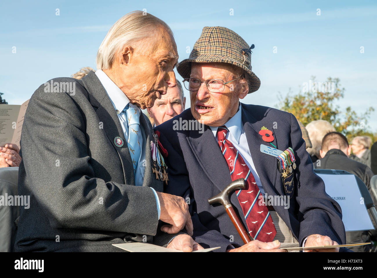 Guinea pig club ww2 hi-res stock photography and images - Alamy