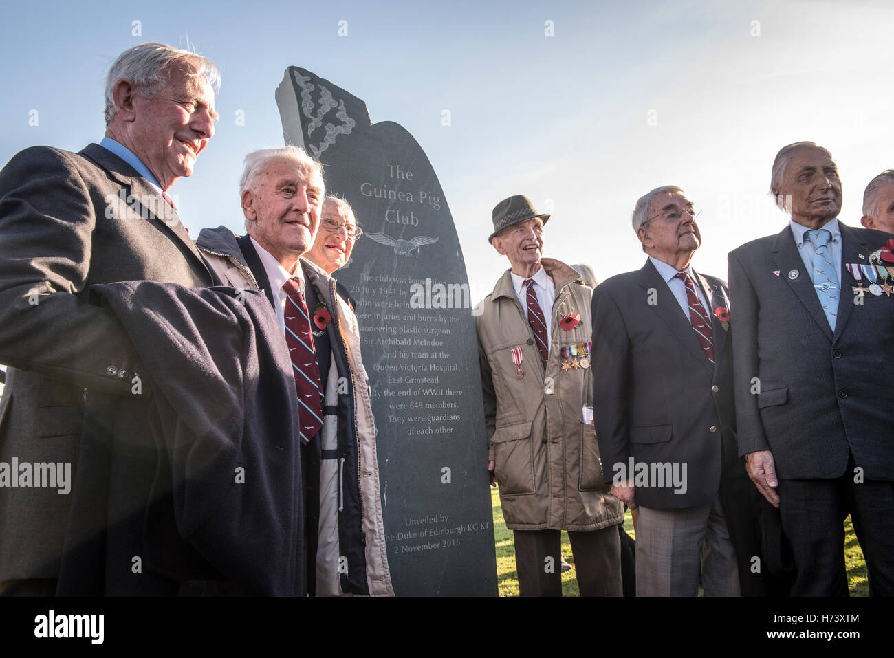 Guinea pig club ww2 hi-res stock photography and images - Alamy