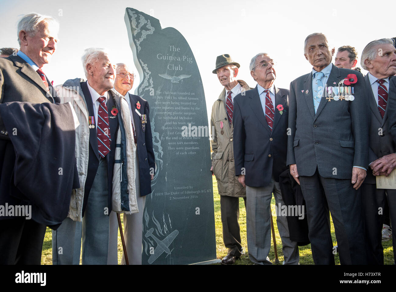 Guinea pig club ww2 hi-res stock photography and images - Alamy