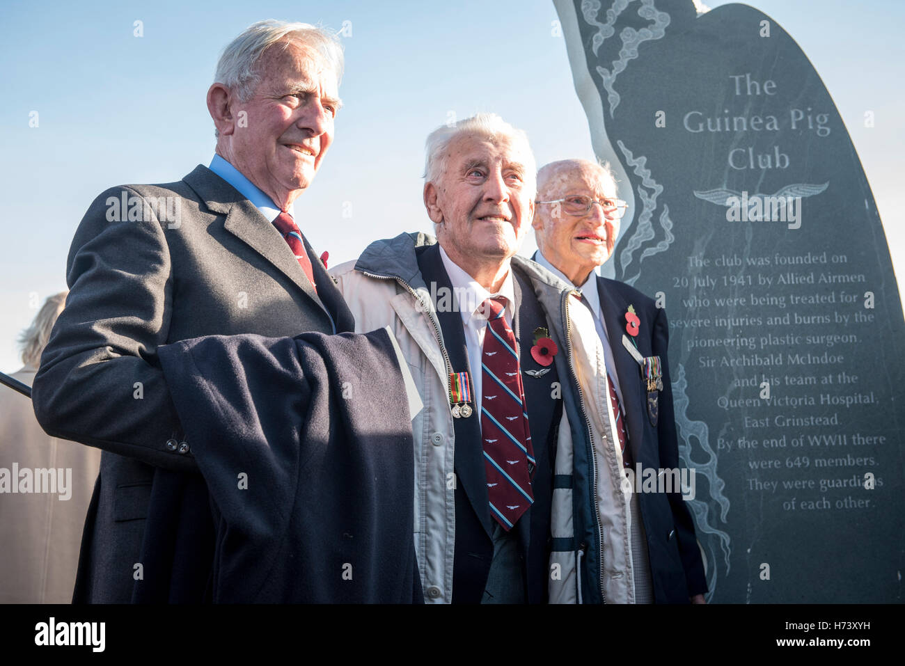 Guinea pig club ww2 hi-res stock photography and images - Alamy