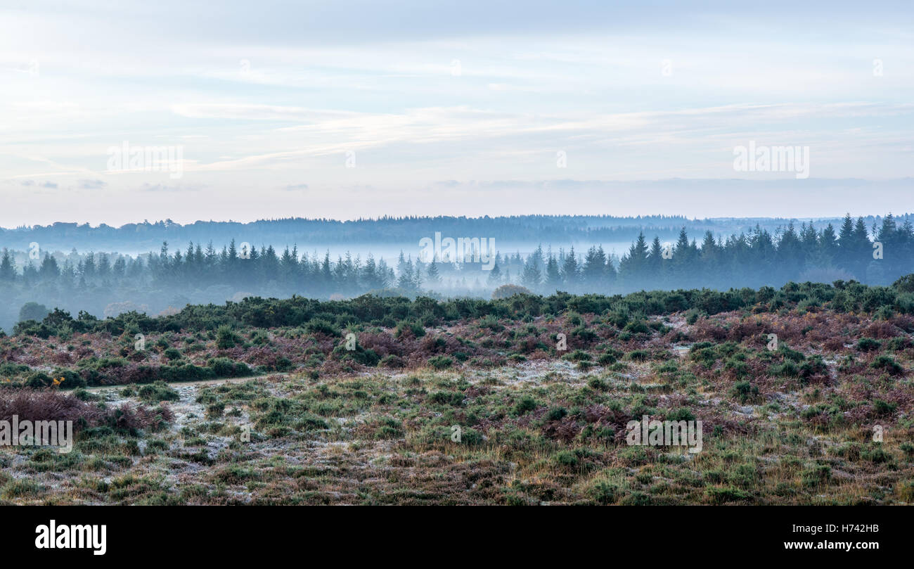 Frosty November morning with mist in valleys and pine trees in the ...