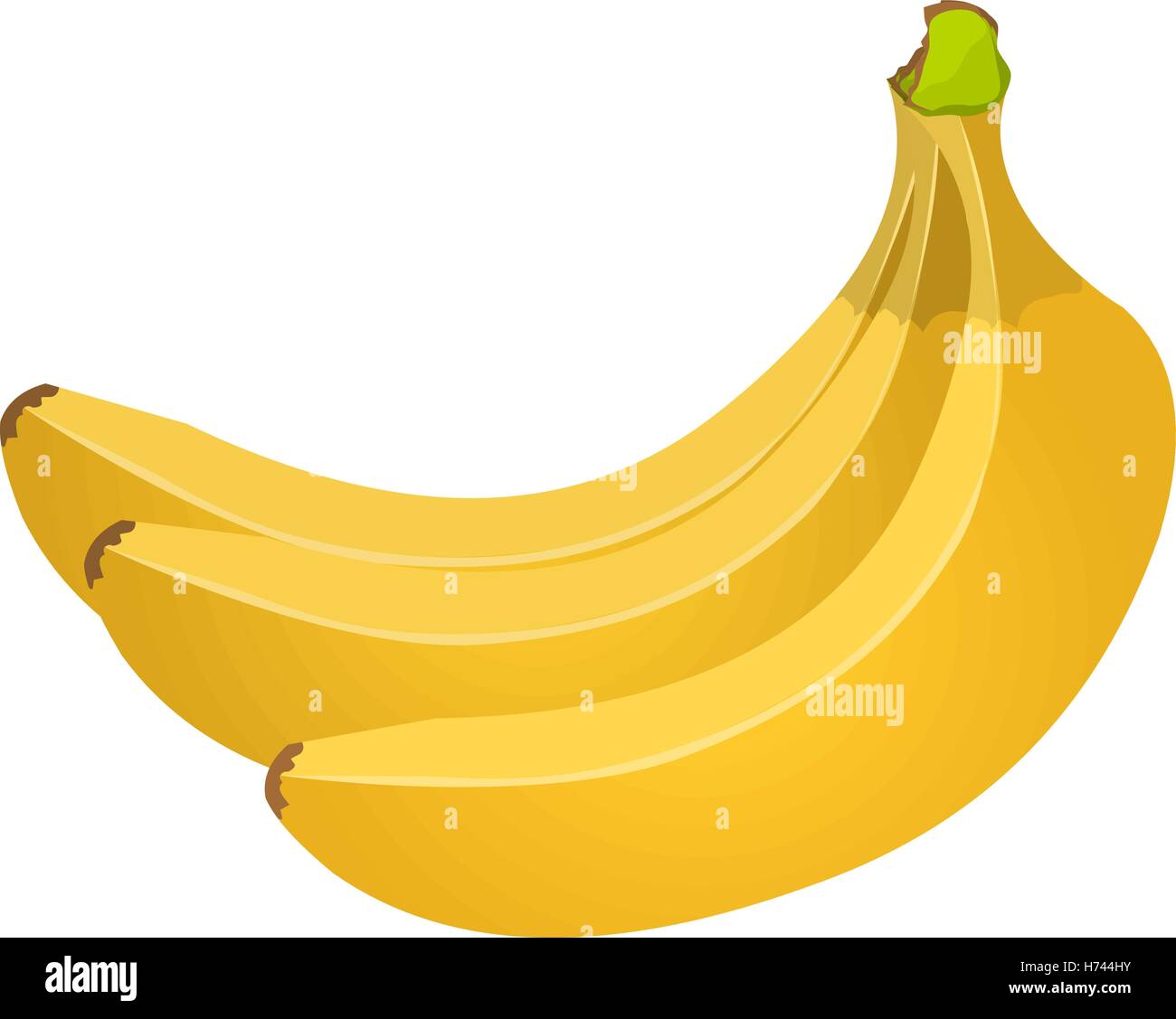 Banana batch isolated on white background. Tropical fruits. Vector ...