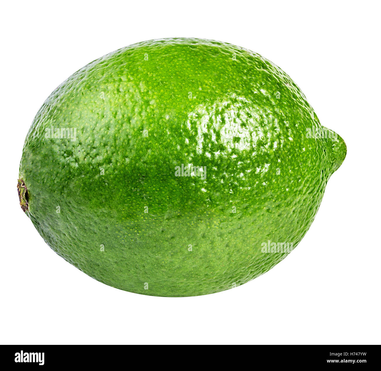 Fresh lime isolated on white background Stock Photo - Alamy