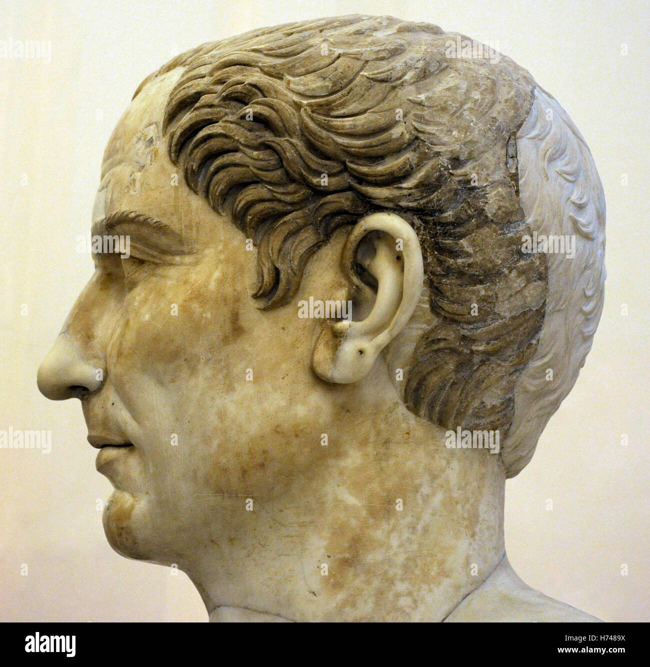 Julius caesar bust museum hi-res stock photography and images - Alamy