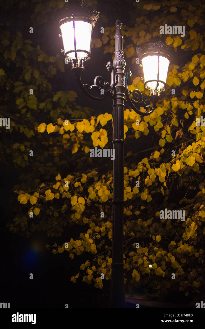 Night Street Lamp Post Photo