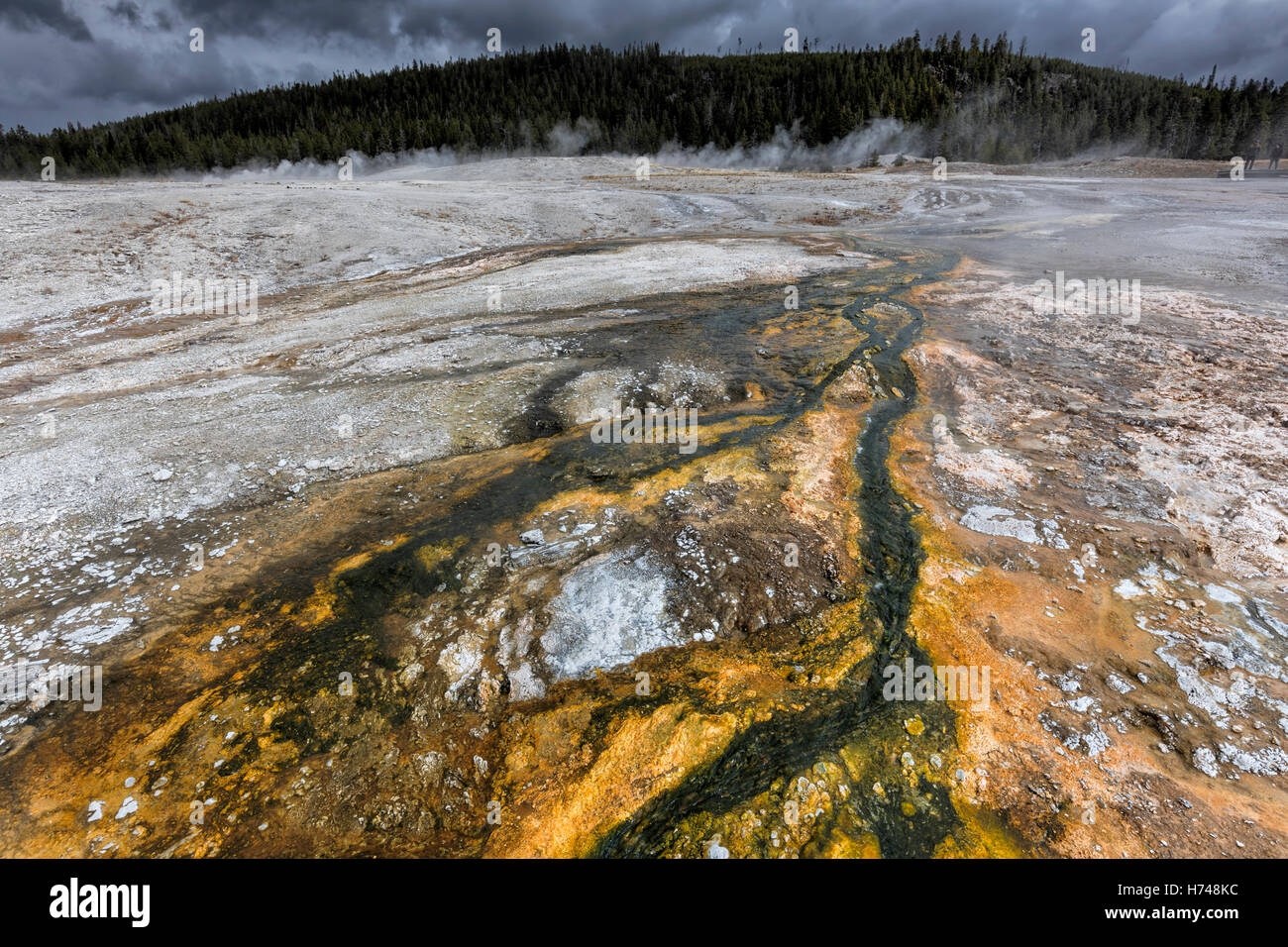 Geyser Hill - Old Faithful geyser basin Stock Photo - Alamy