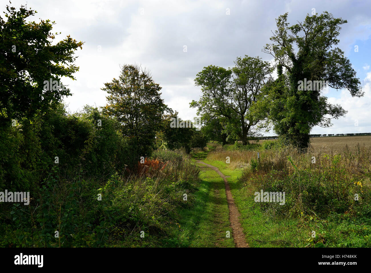 Lilley hertfordshire hi-res stock photography and images - Alamy