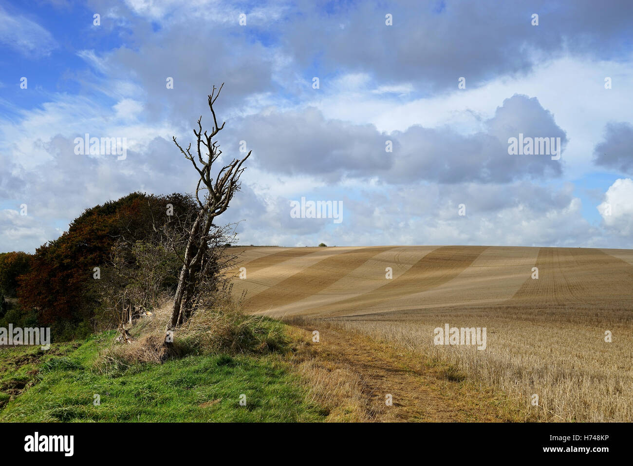 Bedfordshire luton hi-res stock photography and images - Alamy
