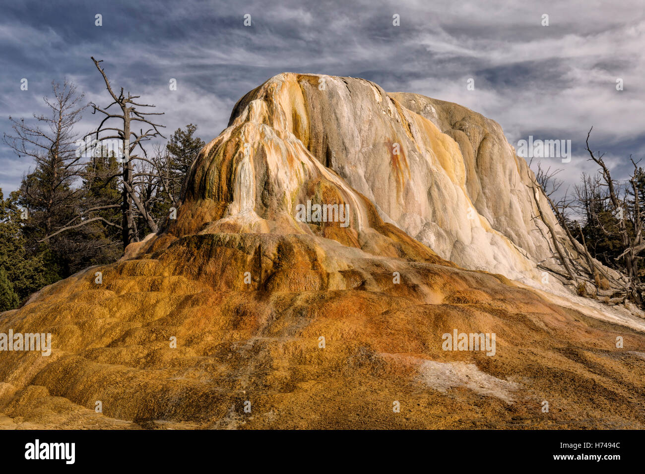 Orange spring mound Stock Photo - Alamy