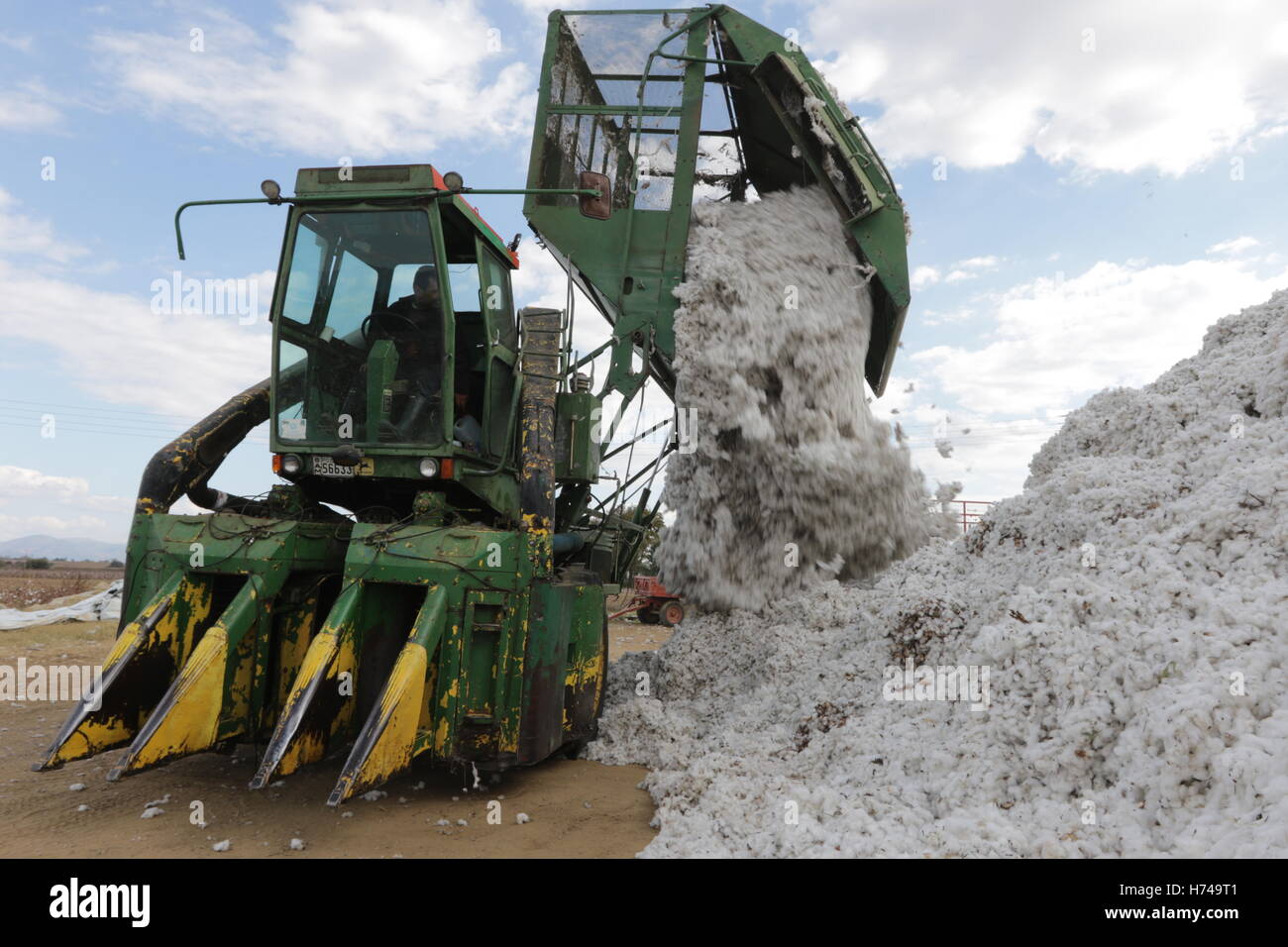 A cotton picker harvests hi-res stock photography and images - Alamy