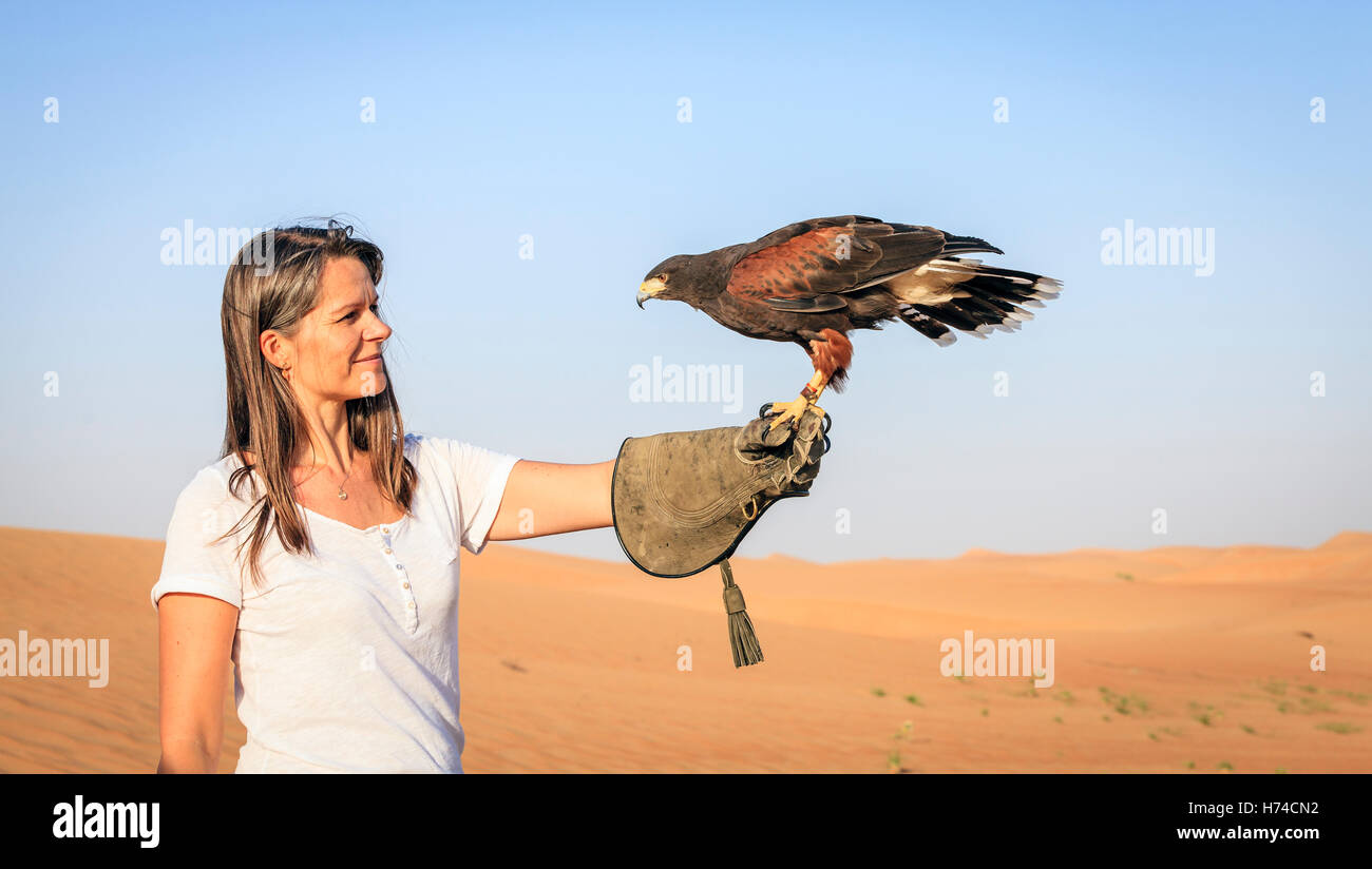 Harris Hawk sits on a woman's hand at Dubai Desert Conservation Reserve ...