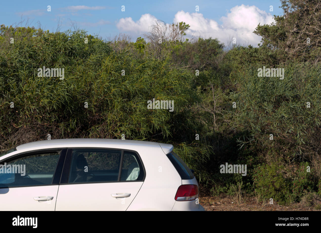 car parked near a mediterranean woods, Sothern Italy Stock Photo - Alamy