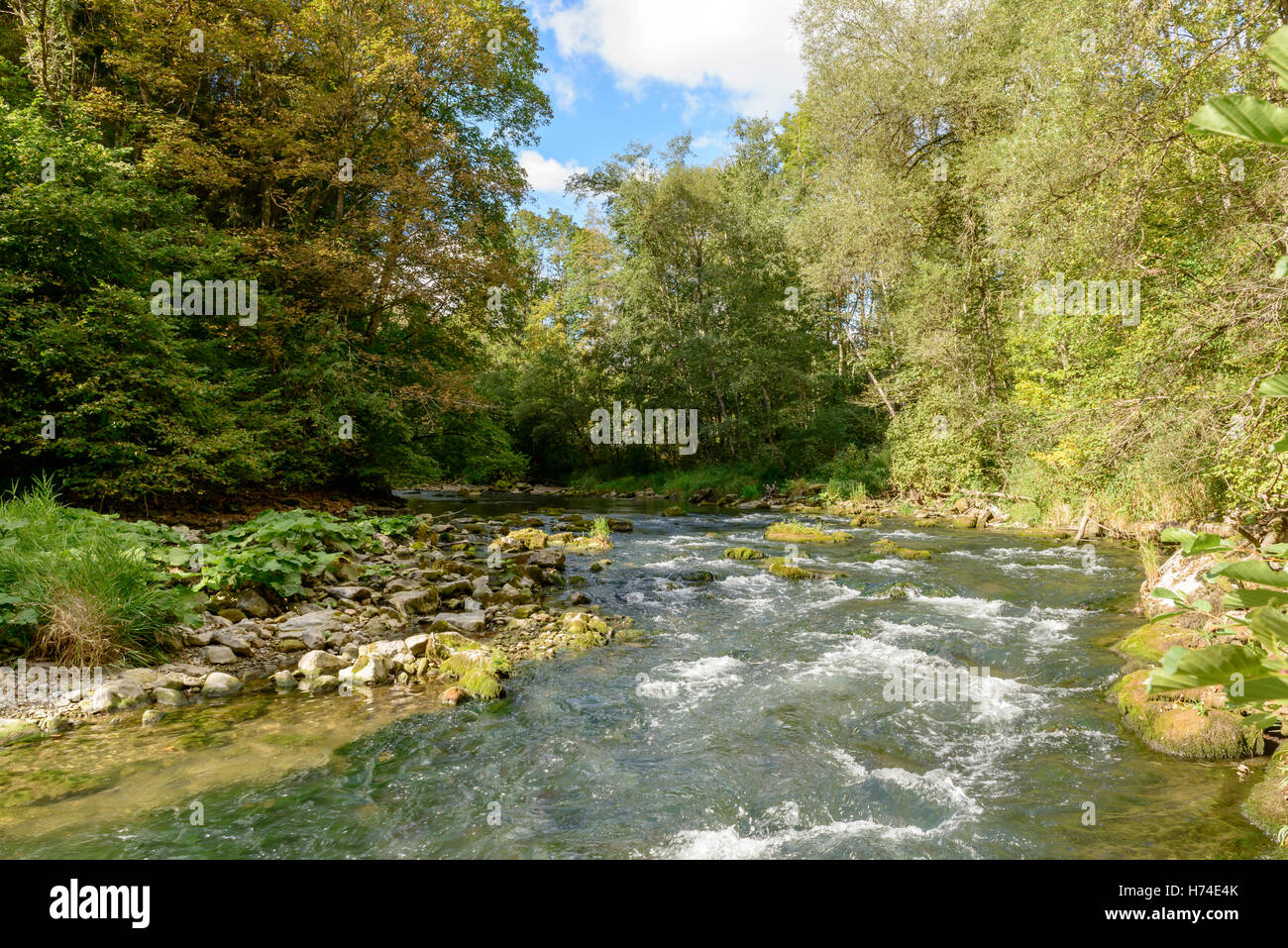 River among trees hi-res stock photography and images - Alamy