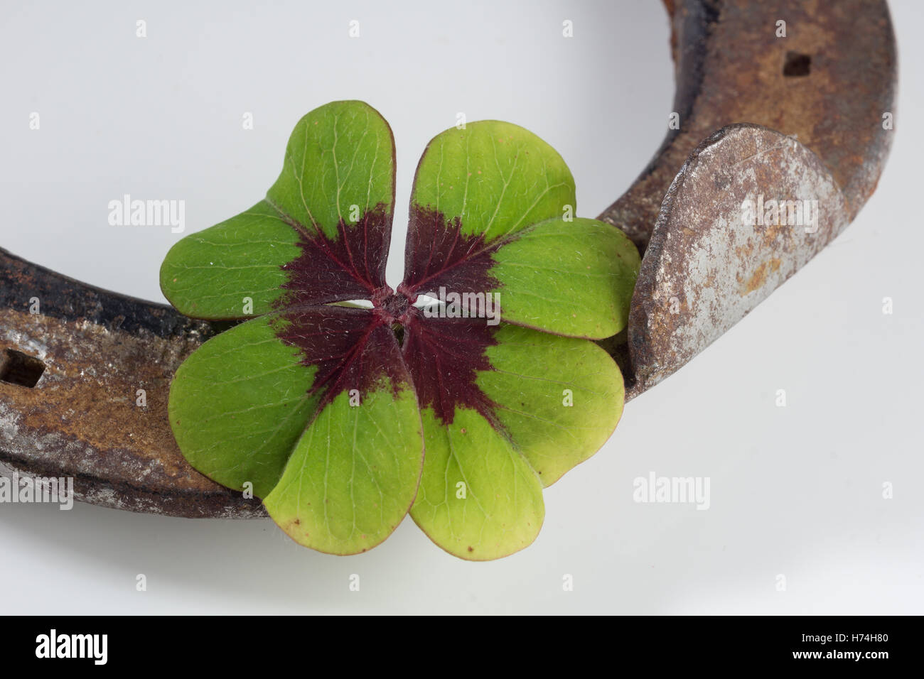 Lucky symbols hi-res stock photography and images - Alamy