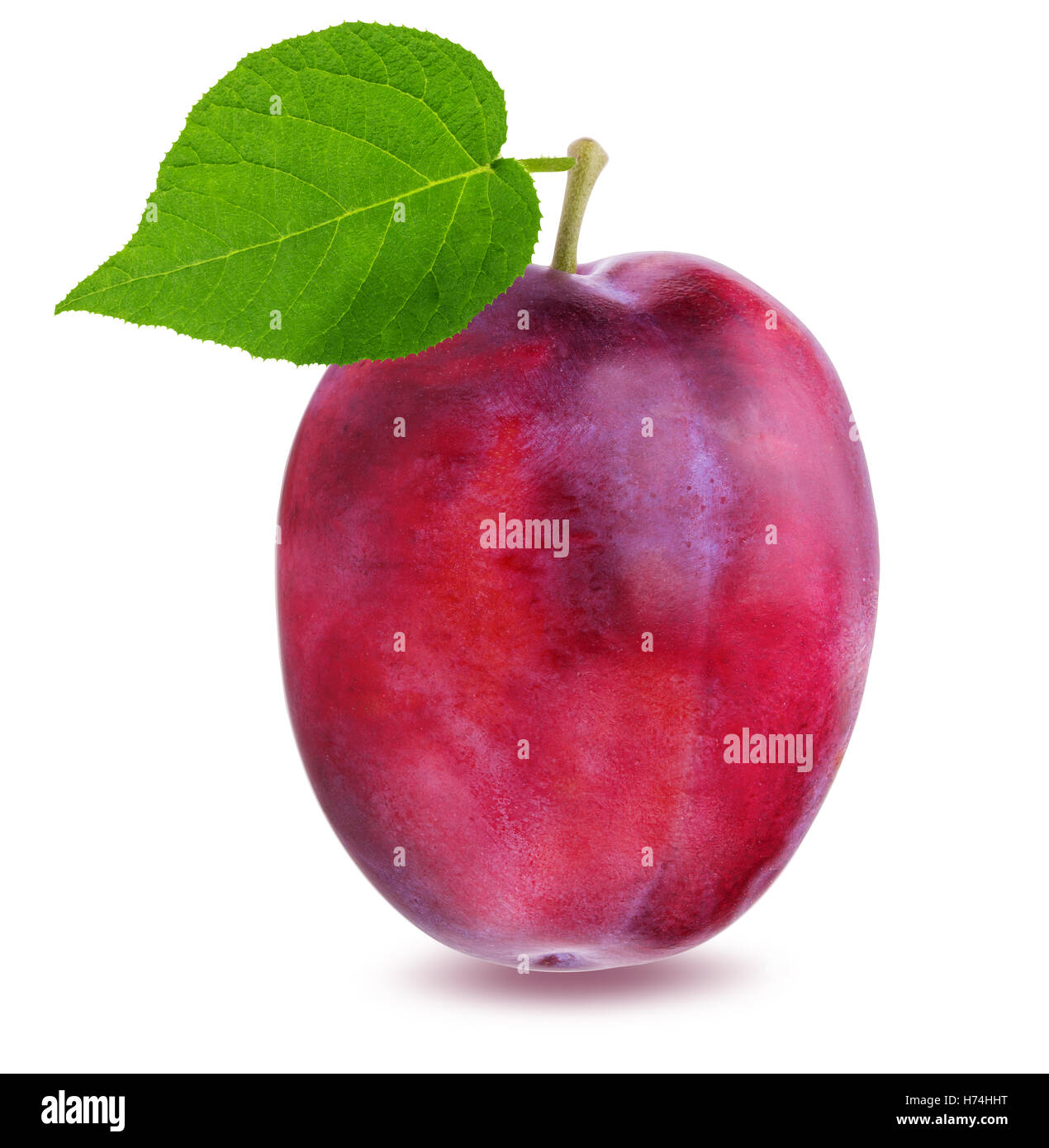 plum on a white background Stock Photo - Alamy