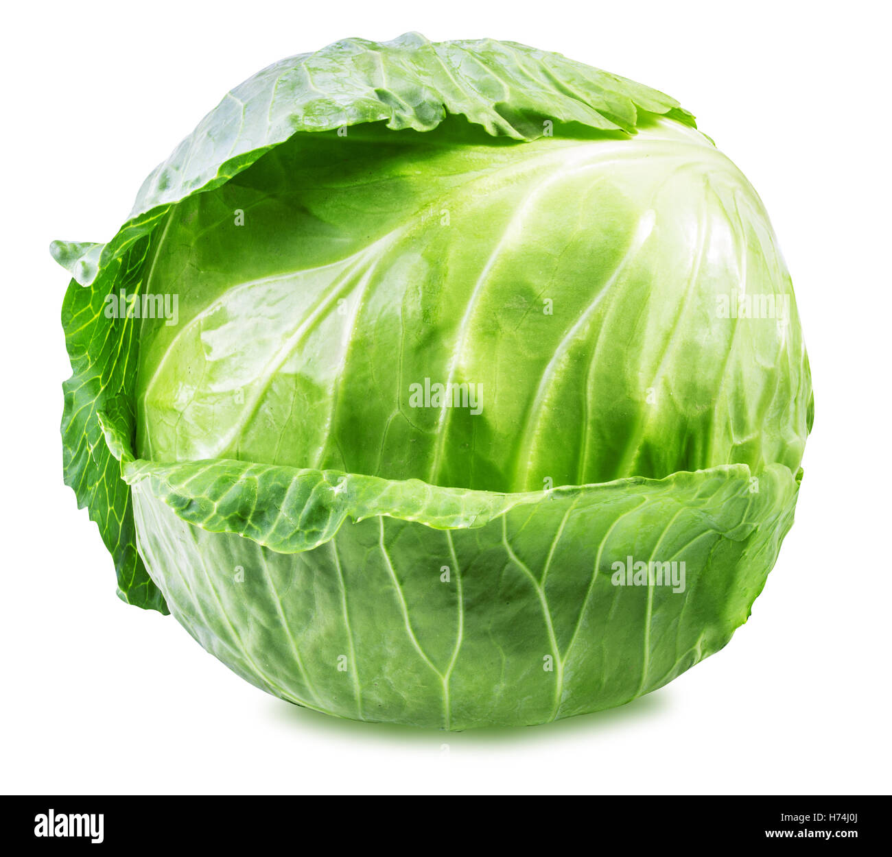 Green cabbage isolated on white background Stock Photo - Alamy