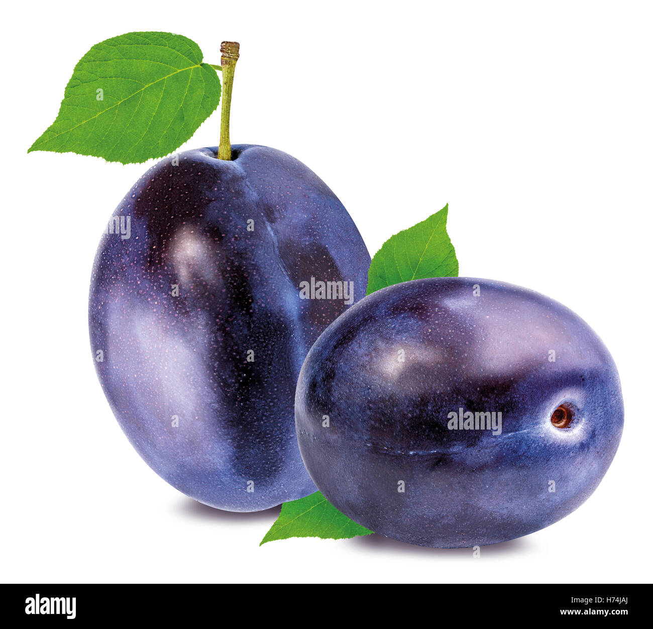 plum on a white background Stock Photo - Alamy