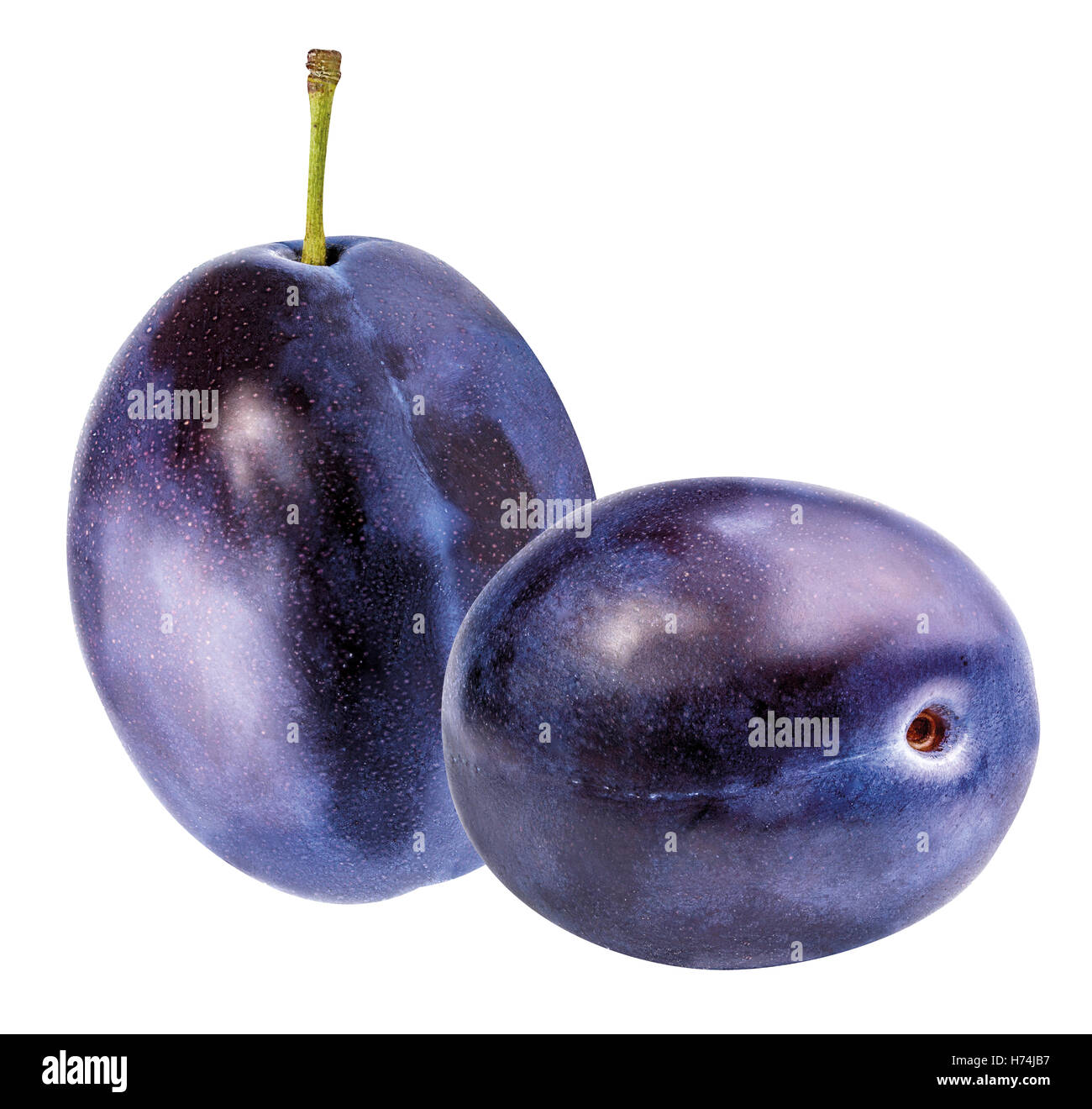 plum on a white background Stock Photo - Alamy
