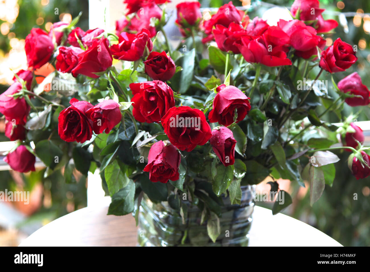 Red bright beautiful flowers roses, Thailand, Southeast Asia Stock ...