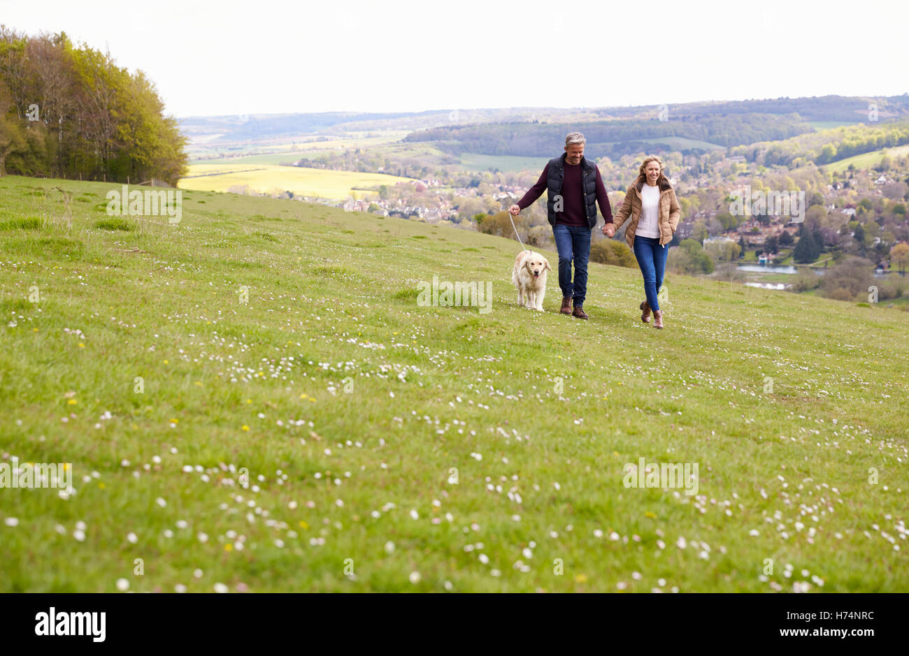 Mature couple golden retriever hi-res stock photography and images - Alamy
