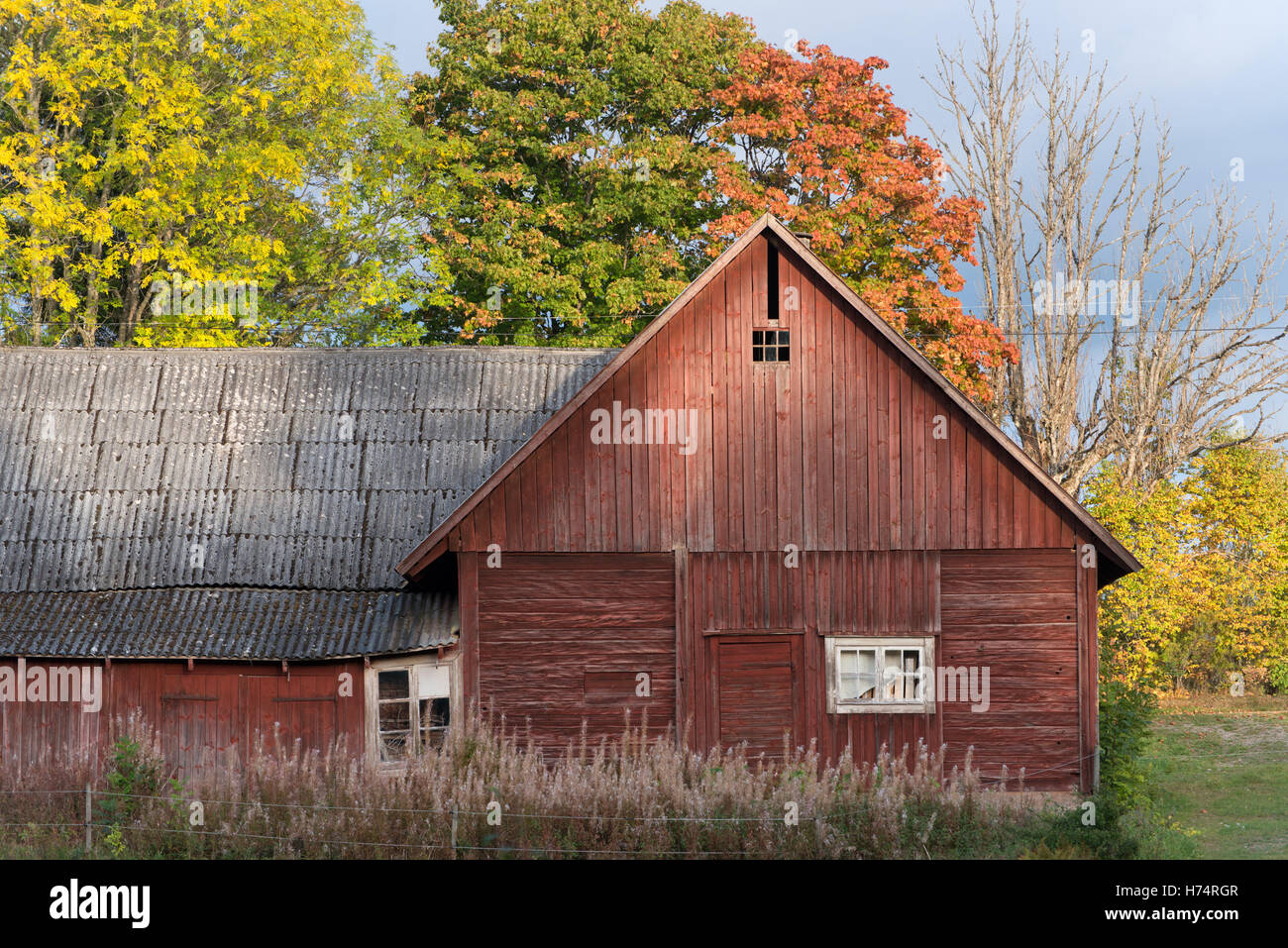 House For Sale Smaland Sweden at Donald Beach blog